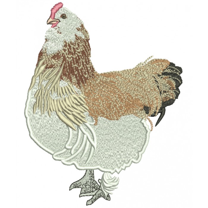 Big Fancy Hen With Grey And White Feathers Filled Machine Embroidery ...