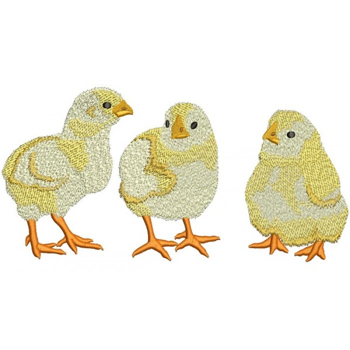 Three Baby Chicks Filled Machine Embroidery Design Digitized Pattern