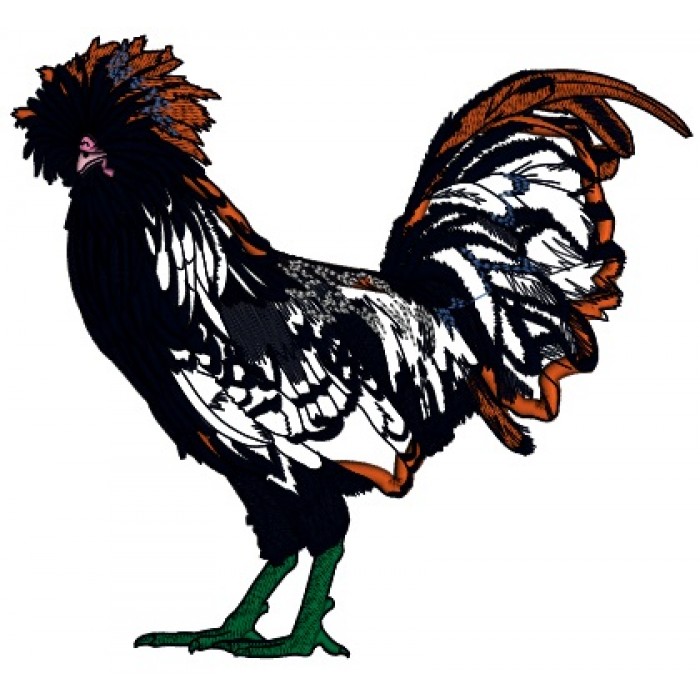 Fancy Brown Rooster Applique Machine Embroidery Design Digitized Pattern